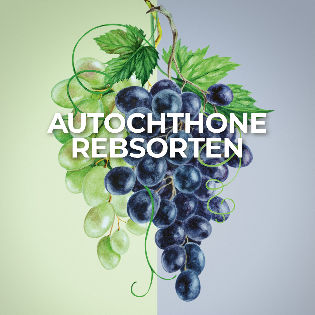 AUTOCHTHONE REBEN